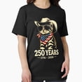 250 Years Anniversary Us American Flag T-Shirt - Walmart.com