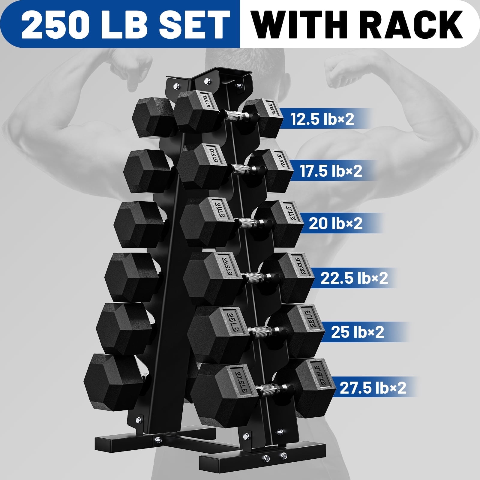 250 lb Dumbbell Set with Rack, Rubber Encased Hex Free Weights for Home ...