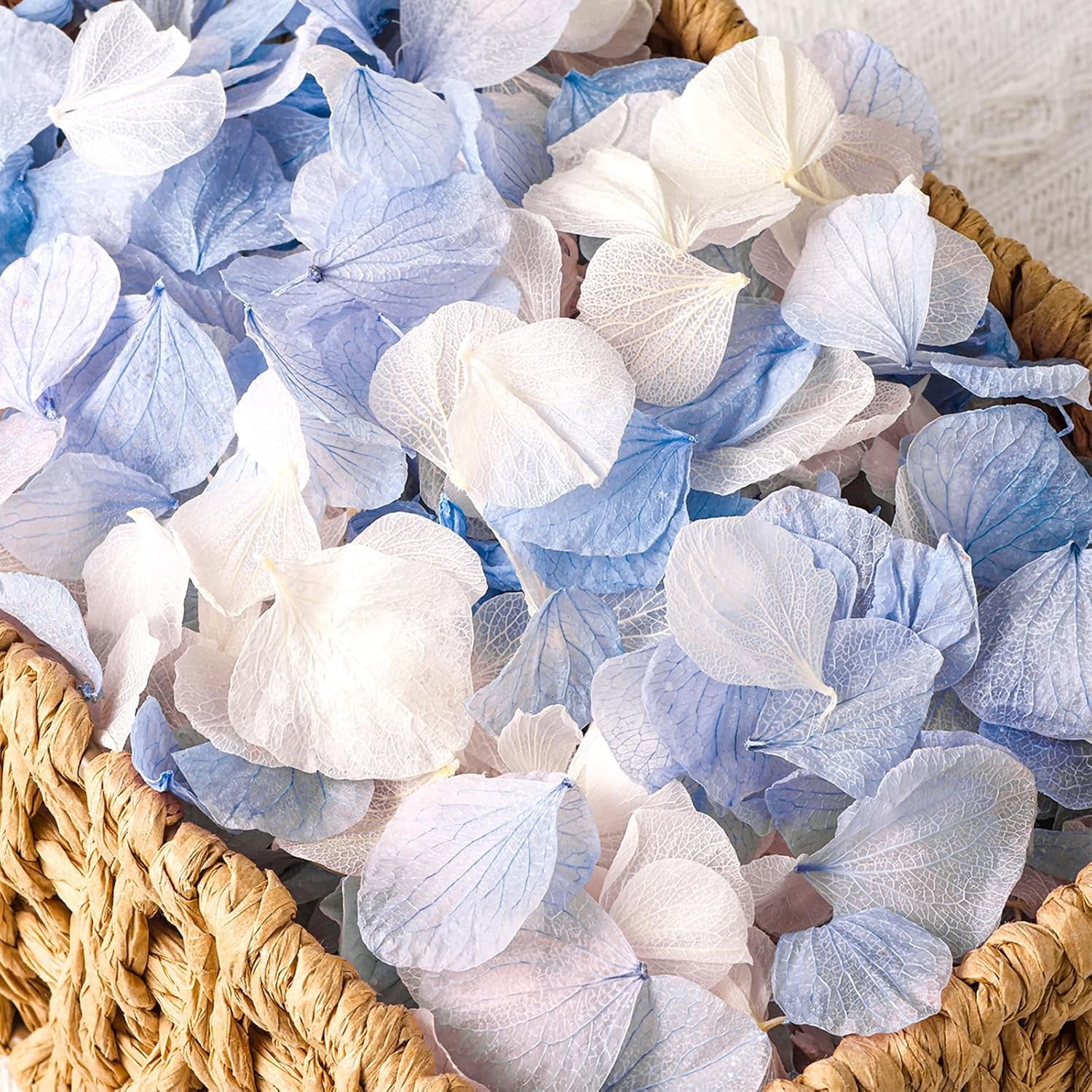 2500 PCS Hydrangea Petals 100% Natural Real Flower Petals for Wedding ...