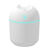 250ML Cold Fog Humidifier Colorful Night Light Portable Cool Sound ...