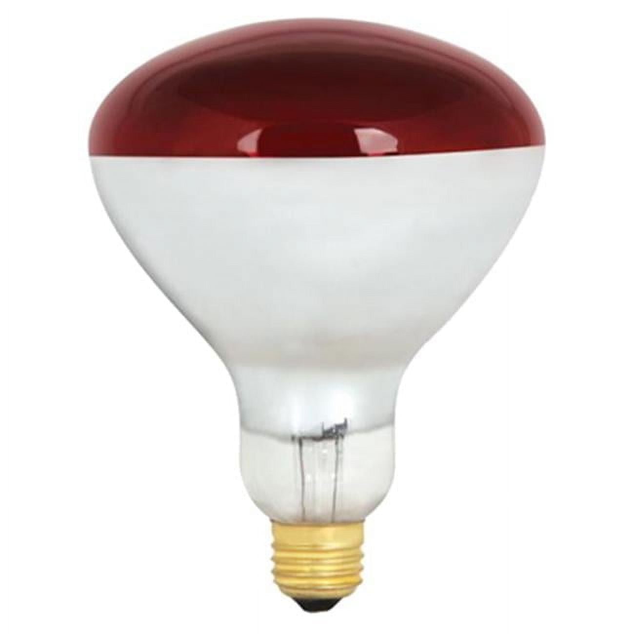 250R40-R 250W Heat Lamp, Red - Walmart.com