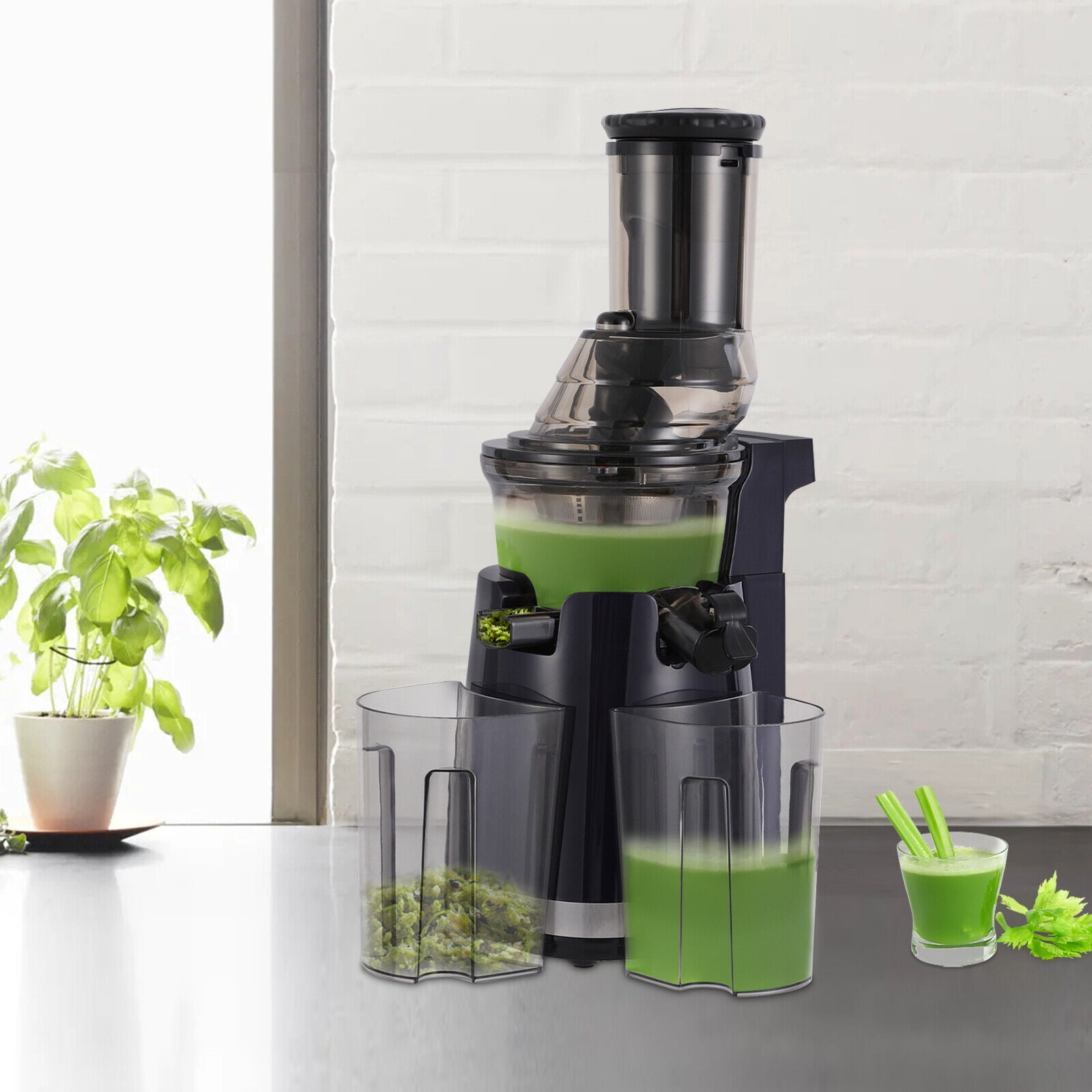 250W Professional Fruit Juicer, Slow Press Juicer with Dual Ports, High ...
