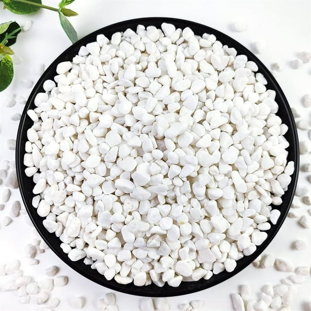 250g Natural Polished Pebbles,White Perlite for Pot,Succulent Cactus ...