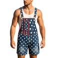 250th Anniversary American Flag Bib Overalls for Men Loose Fit ...