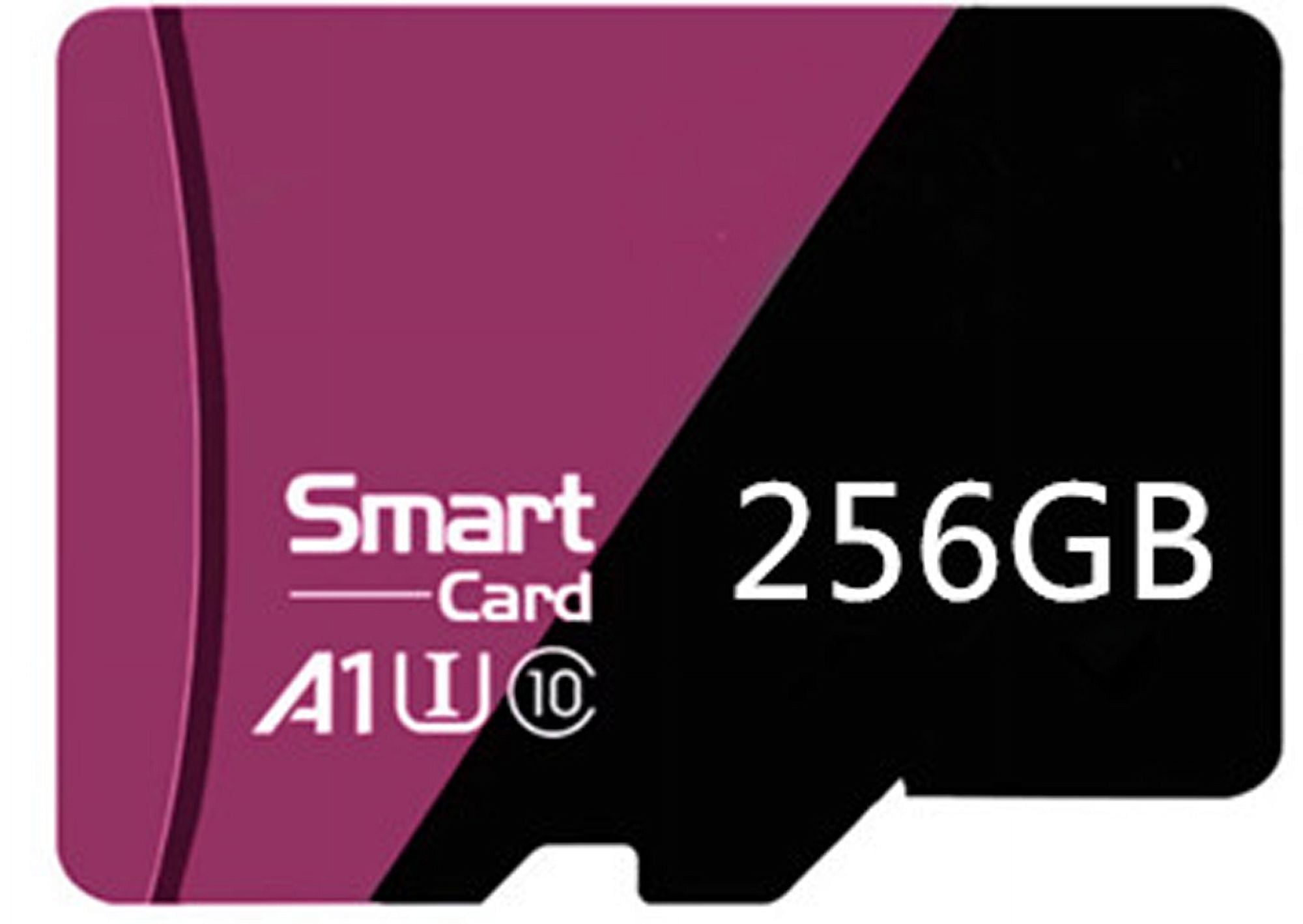 BIG PIG WORLD 256GB Micro SD Card 2 Pack, Class 10 TF Card with Adapter ...