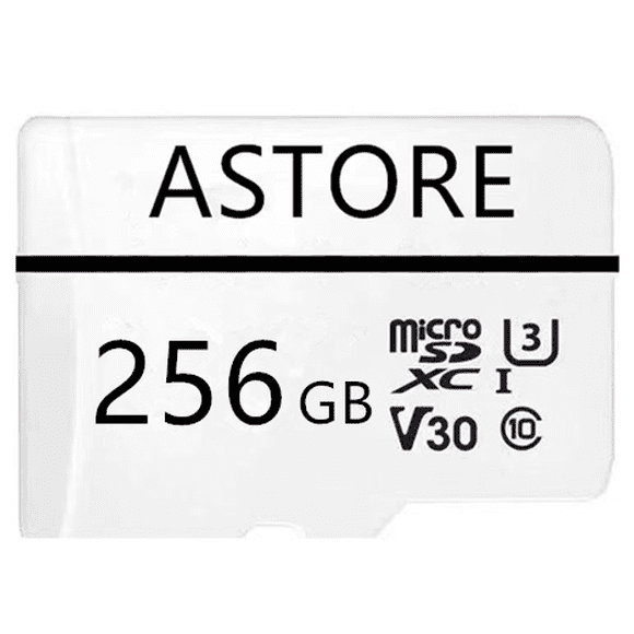 256 GB Memory Cards
