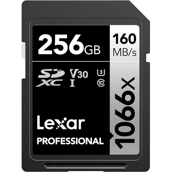 256GB Professional 1066x SD Card, UHS-I, C10, U3, V30, Full HD, 4K, Up ...