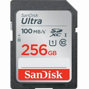 100 GB Memory Cards