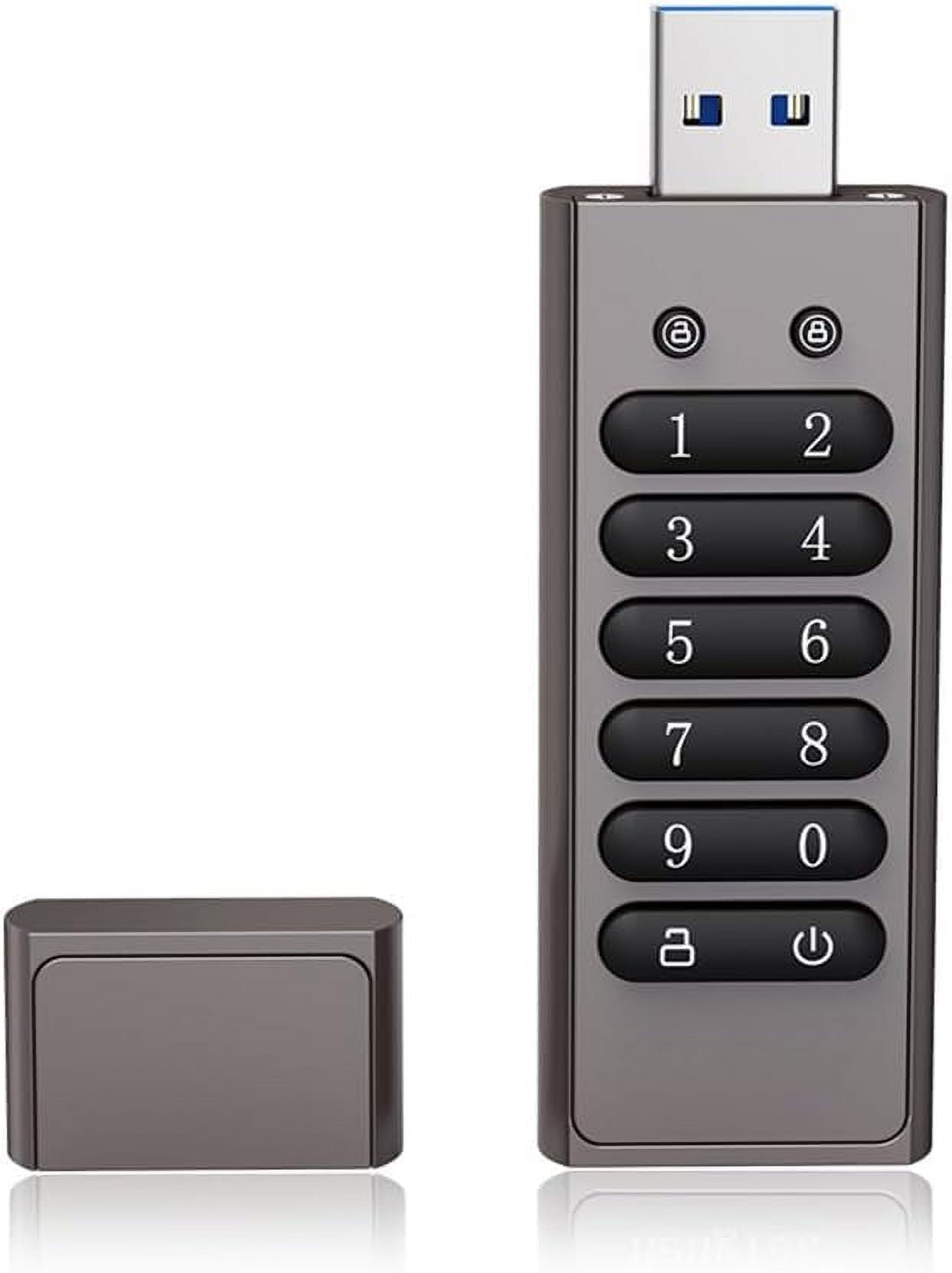 256Gb 256-Bit Encrypted Usb Drive Password Secure Flash Drive Usb3.0 U ...