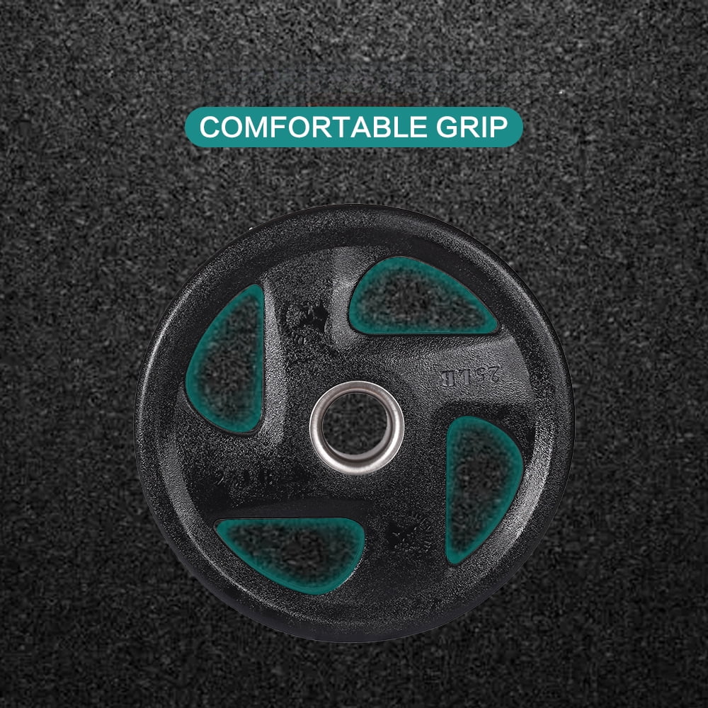 25LB Rubber-Coated Weight Plate with Ergonomic Handles – Solid Cast ...