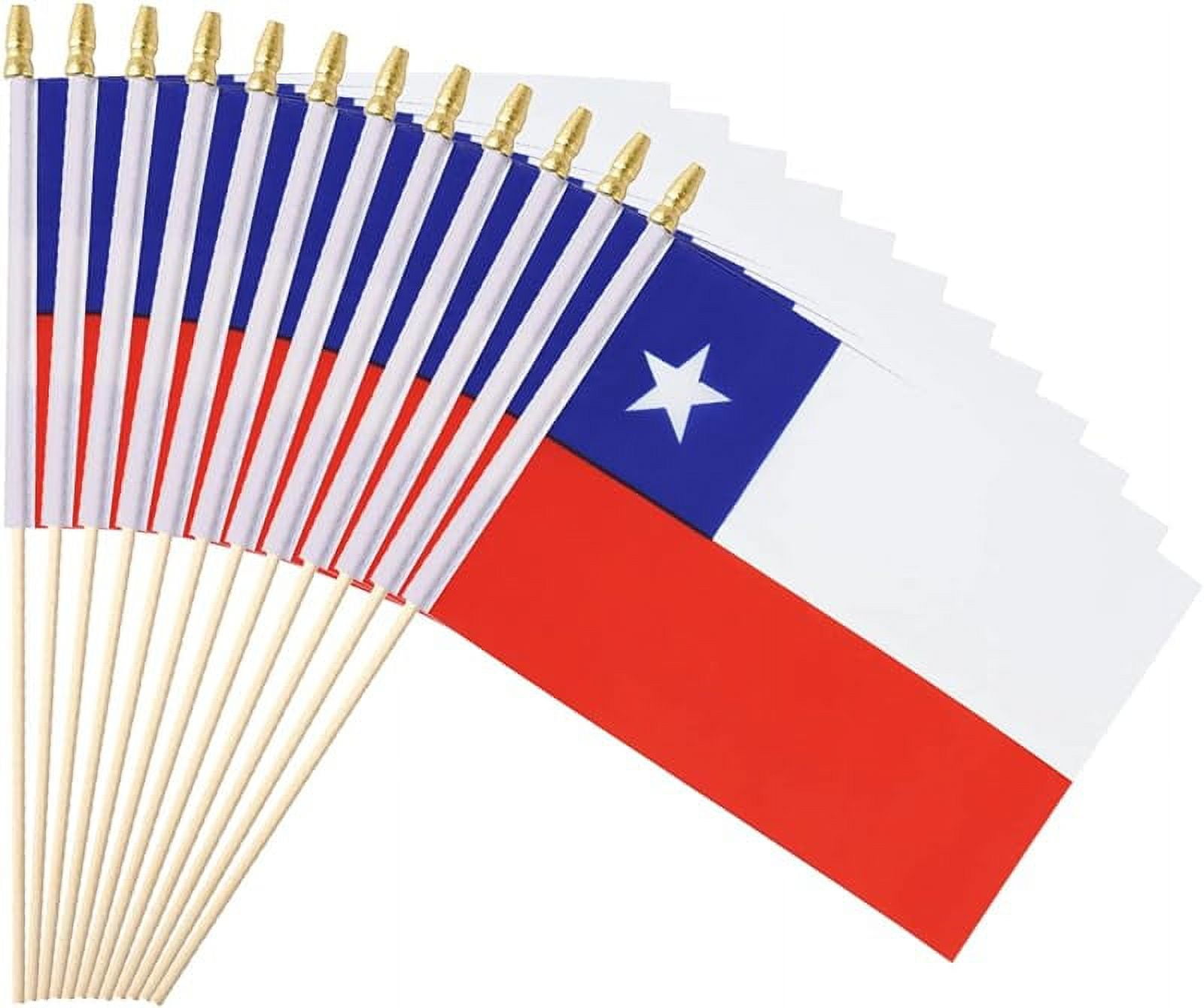 25Pack Small Puerto Rico Flag Handheld Mini Puerto Rican Flag on Stick ...