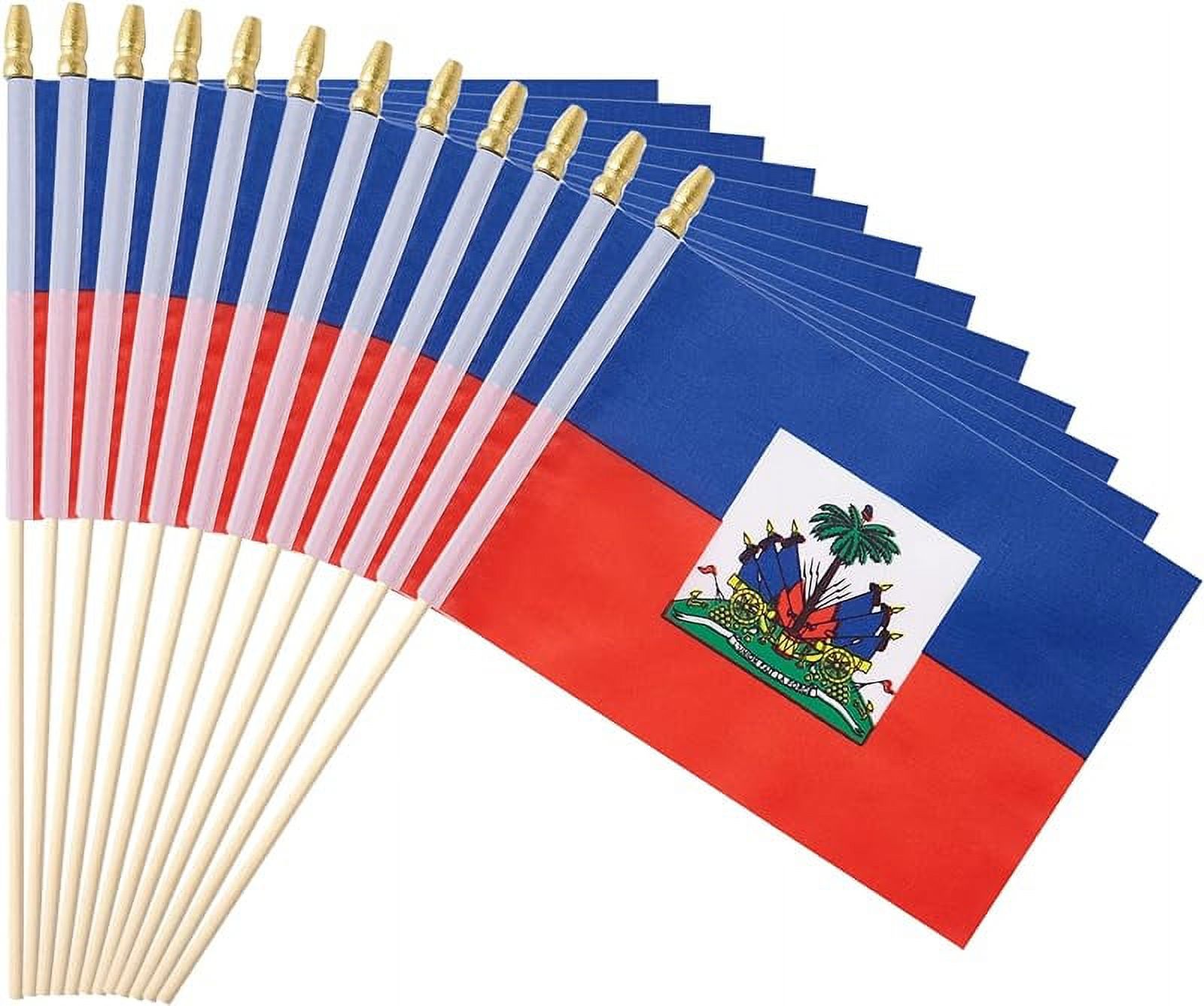 25Pack Small Ireland Flag Handheld Mini Irish Flag on Stick 5x8 Inch ...