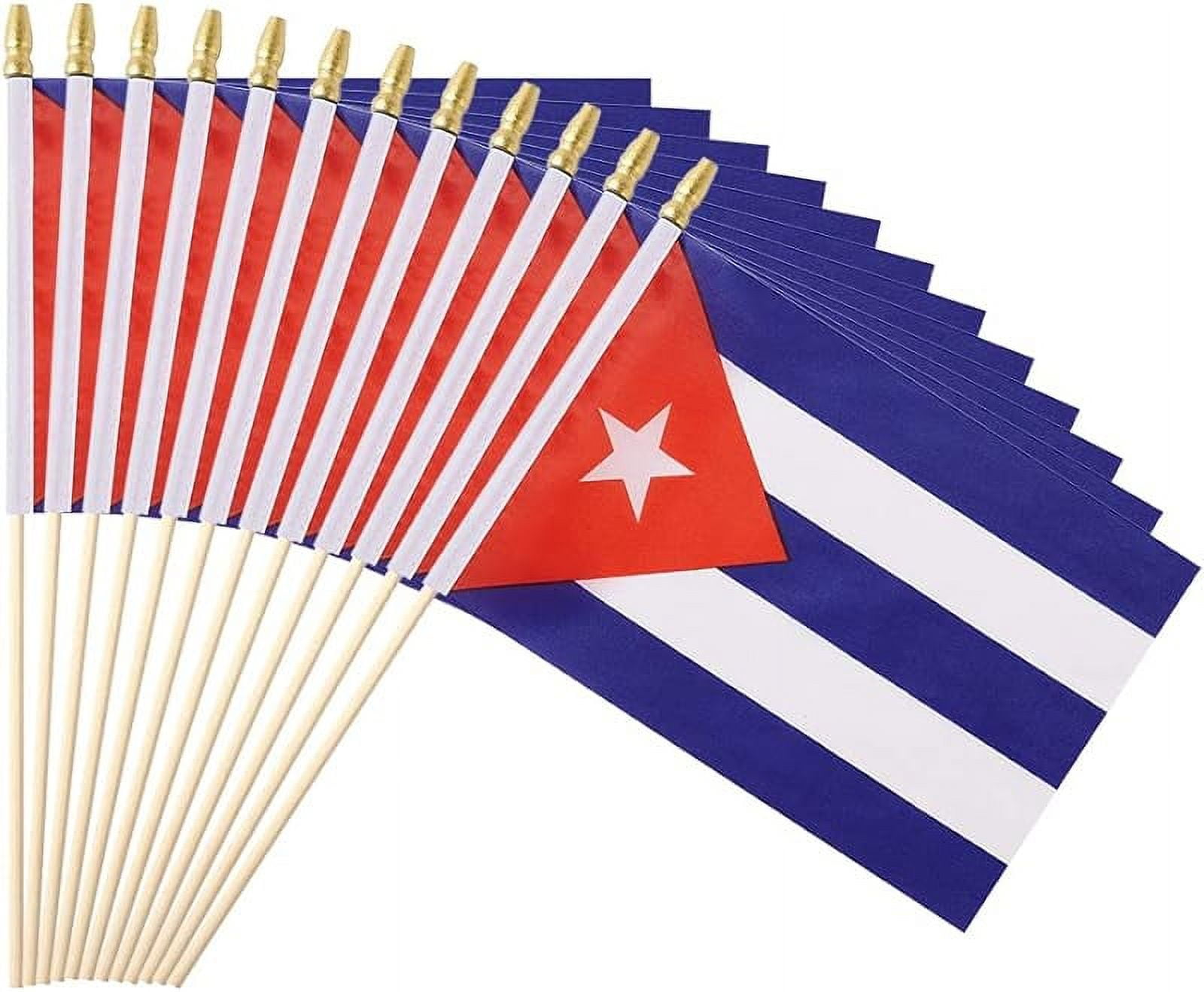 25Pack Small Israel Flag Handheld Mini Israeli Flag on Stick 5x8 Inch ...