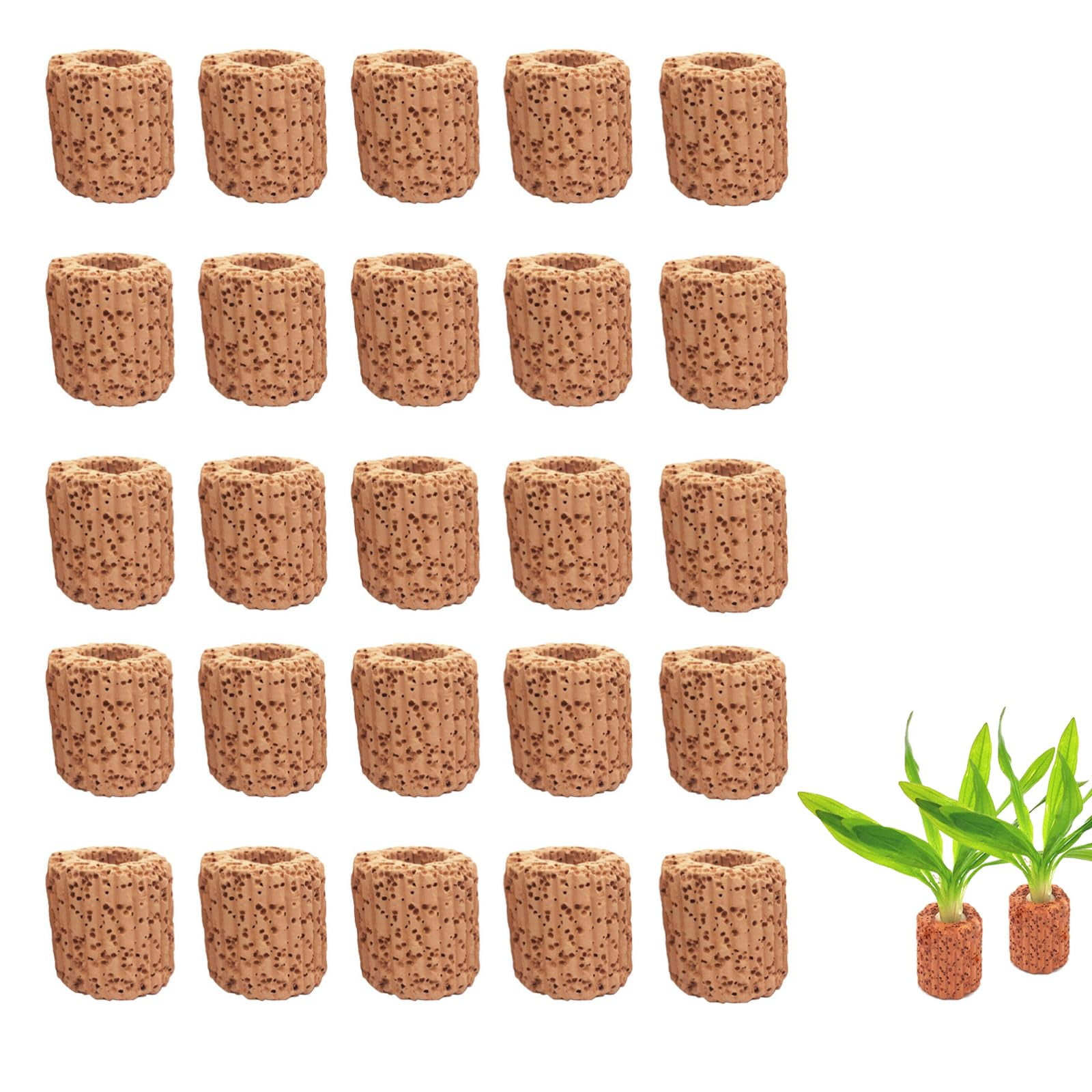 25Pcs Aquatic Water Plant Fixed Rings, 0.98" Aquarium Water Plant Fixed ...