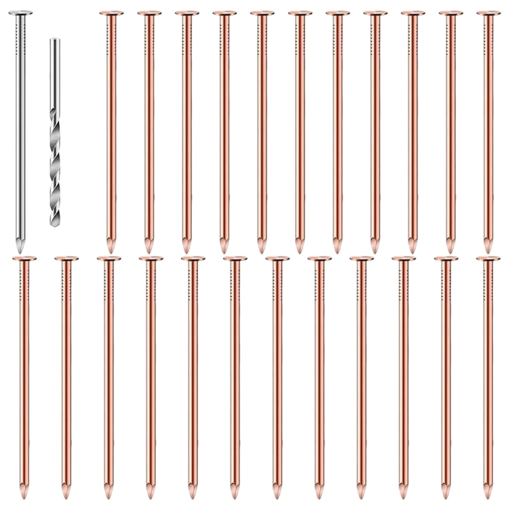 25Pcs Copper Nails Spikes Tree Stump Killers Nails with 1 Steel Nails 1 ...