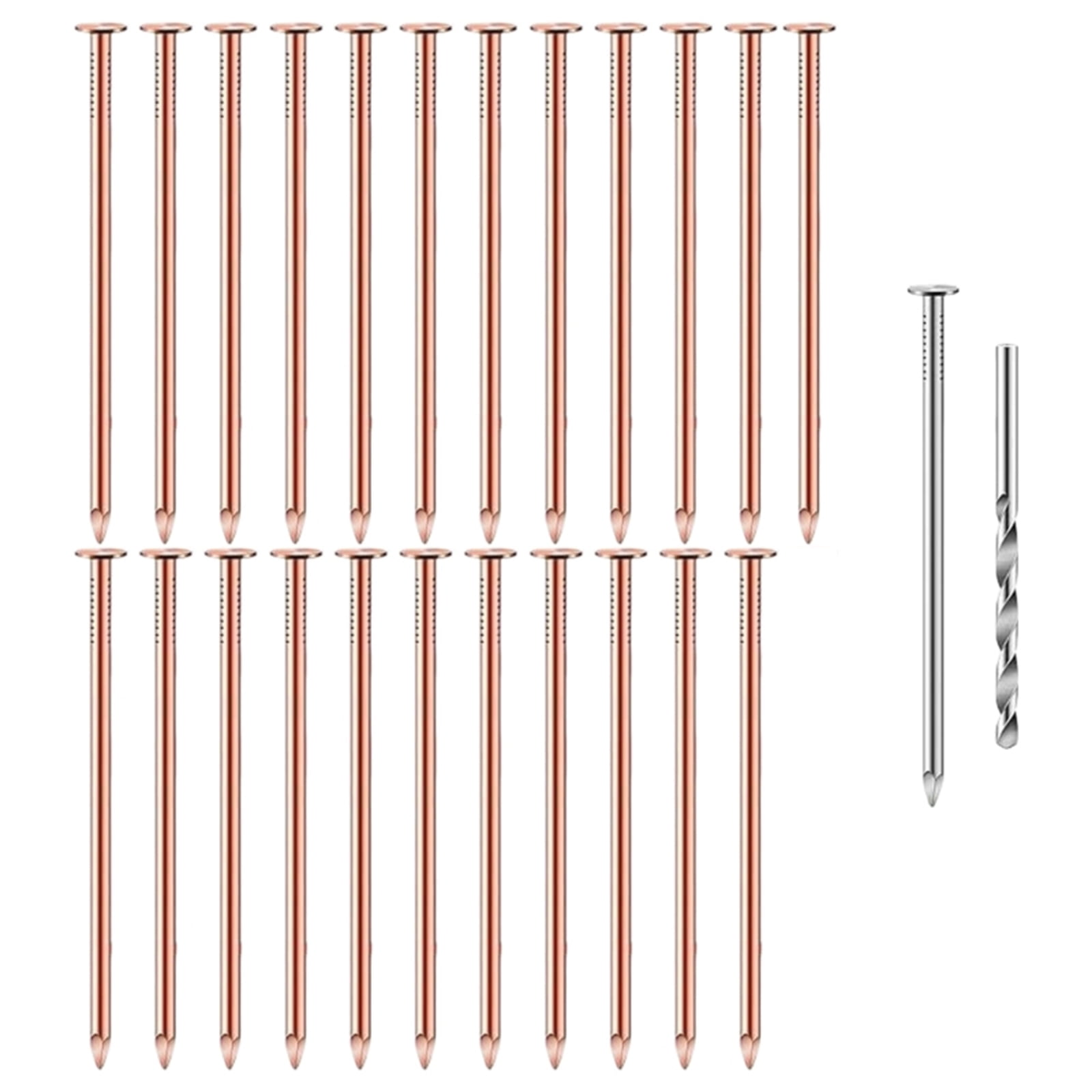 25Pcs Coppers Nails for Trees Stump Removal Spikes Tree Stump Killers ...