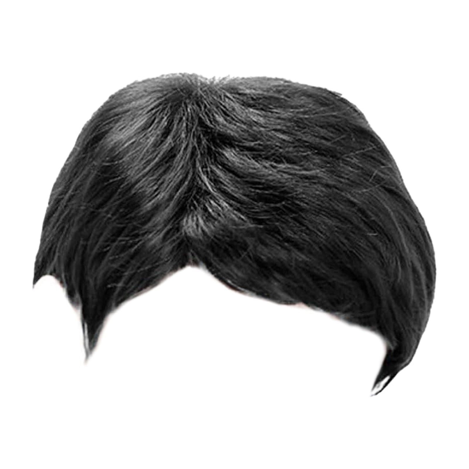 25cm/10inch Men's Short Straight Wig - European and American Fashion ...