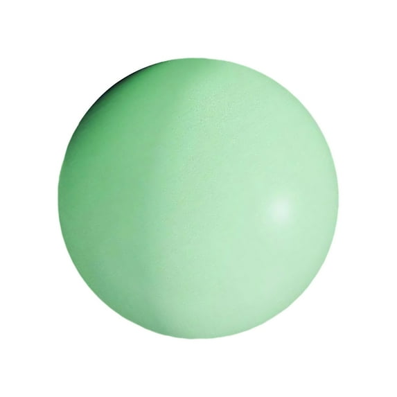 25cm Soft Pilates Ball 10Inch Exercise Ball Gym Ball for Pilates, Cores ...