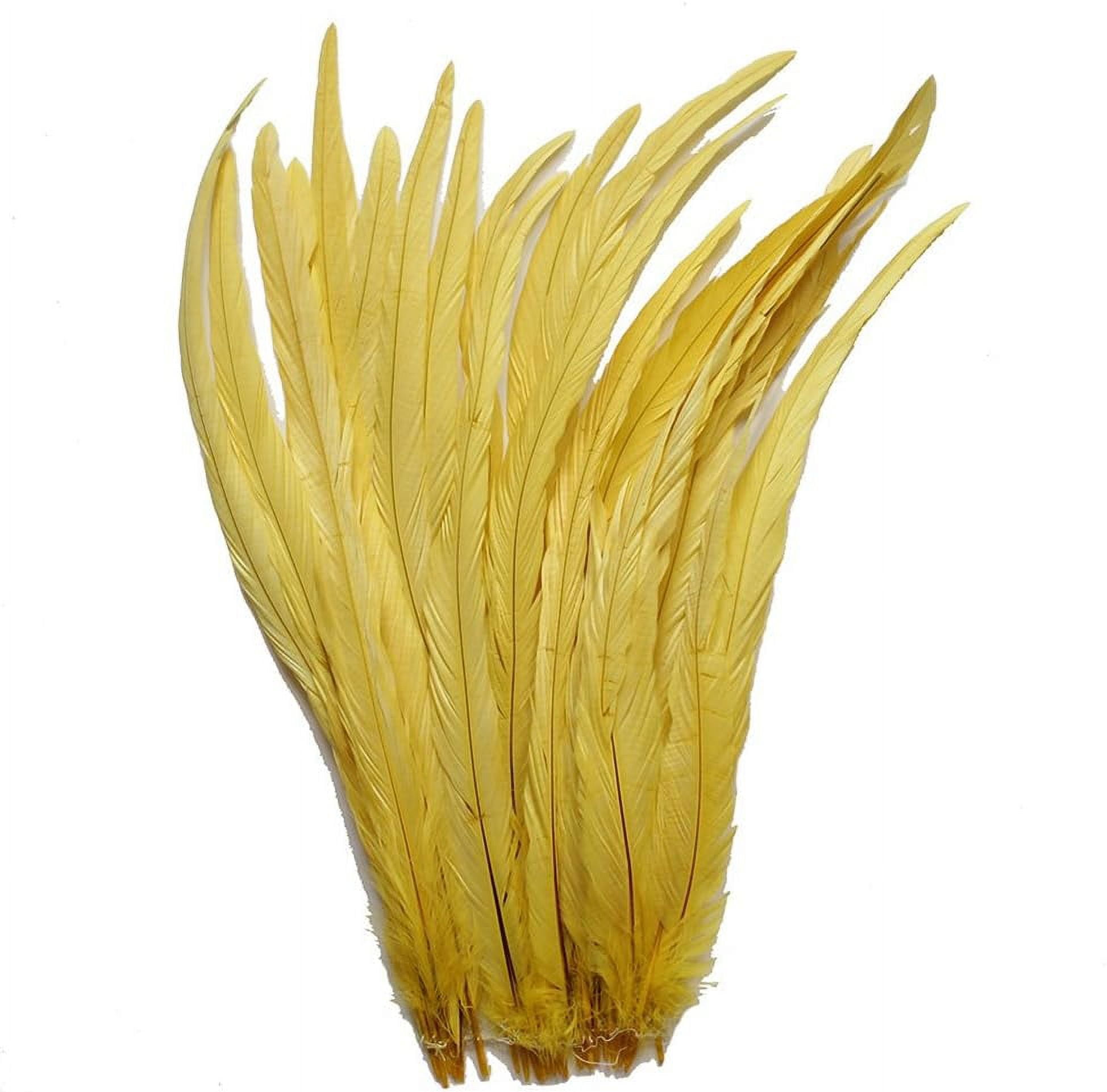 25pcs 16-18" Bleach-Dyed Rooster Coque Tail Feathers, 15+ Colors to ...