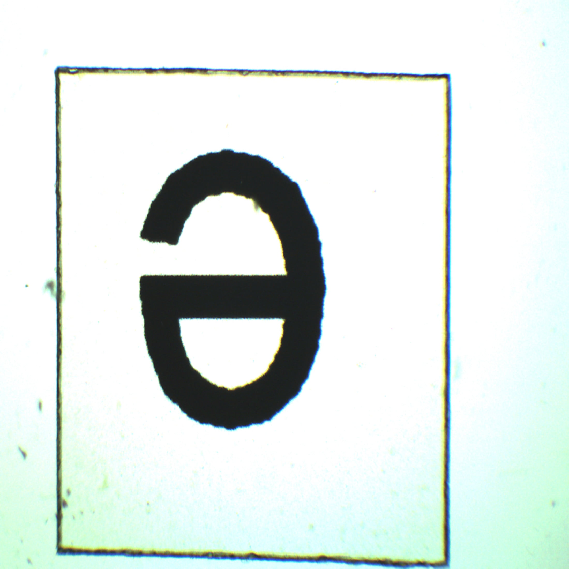 25pk Wholemount of Letter 'e', Prepared Microscope Slides - 75 x 25mm ...