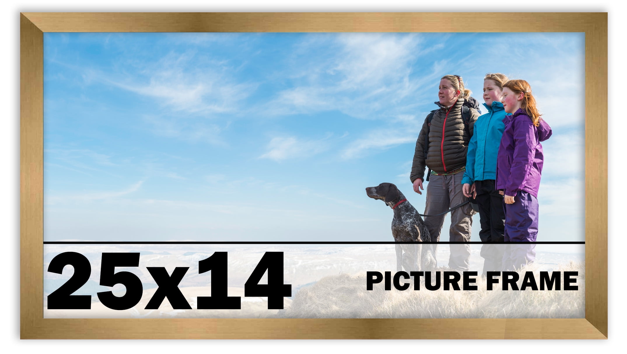 25x14 Frame Gold Bronze Modern Solid Wood Picture Frame | 0.75 Inch ...