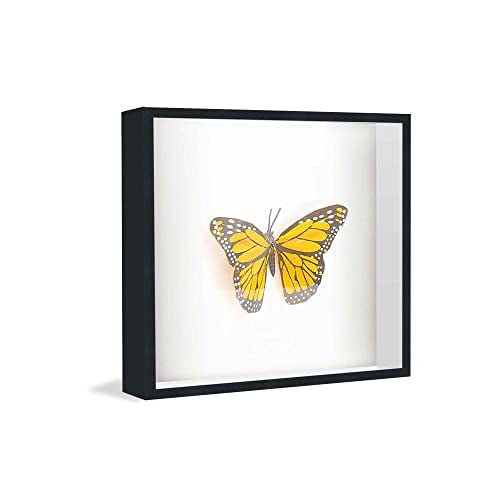 25x25 Shadow Box Frame Black | 1 Inch Deep Solid Wood Shadowbox Display ...