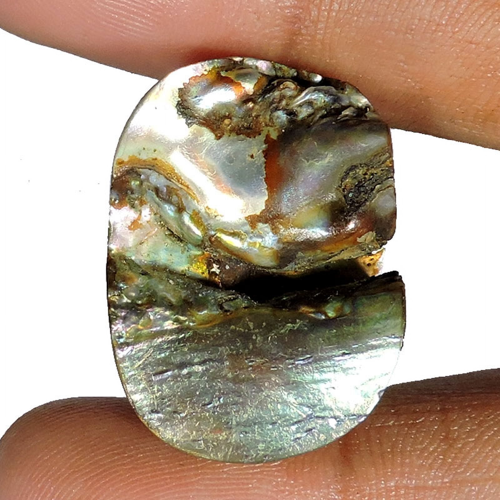 26.50Cts Natural Purple Fire Fossil Abalone Shell Oval Cabochon ...