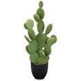 26.8"Tall Fake Cactus Plant Potted Euphorbia lactea Big Cacti Plants ...