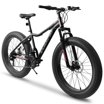 "Zimtown 26"" Fat Tire Bike, 21 Speed, High Carbon Steel, Double Disc ...