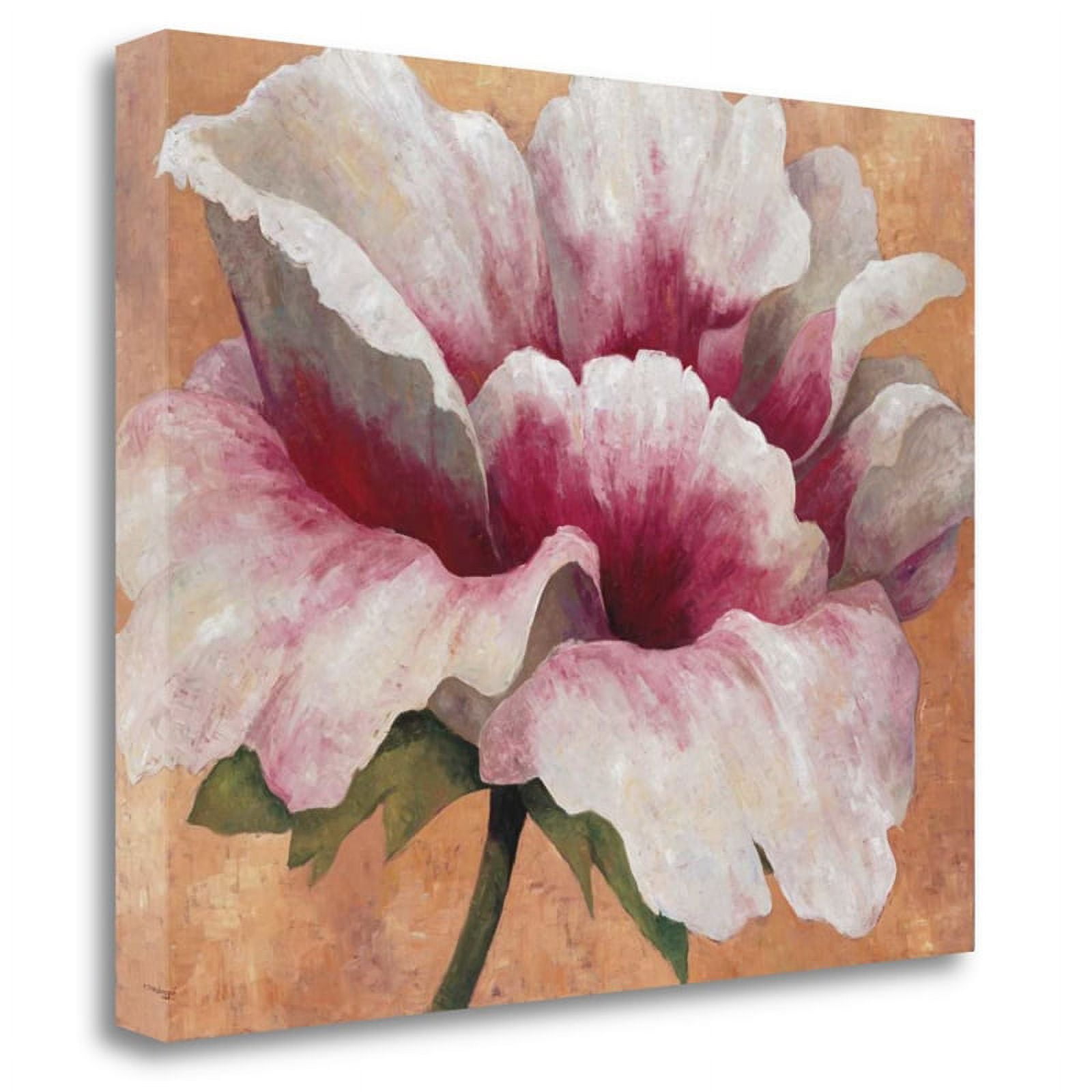 26" x 21" Pink Begonia by Maria Torrontegui - Print on Canvas Fabric ...