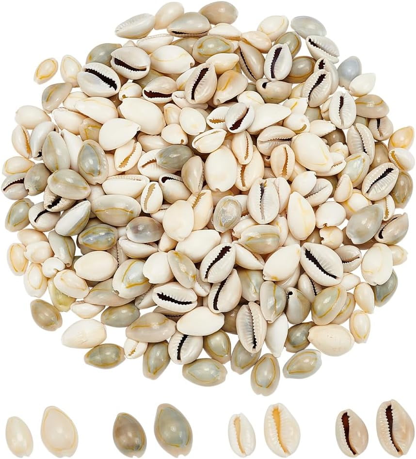 260Pcs Natural Cowrie Shell Beads No Hole 6 Sizes Smooth Sea Shell ...