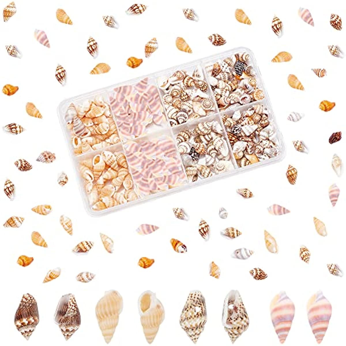 260pcs Sea Shells 4 Styles Ocean Spiral Seashells Tiny Beach Conch ...