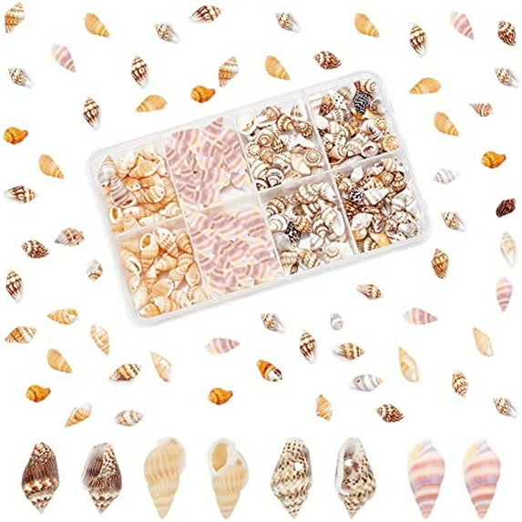 260pcs Sea Shells 4 Styles Ocean Spiral Seashells Tiny Beach Conch ...