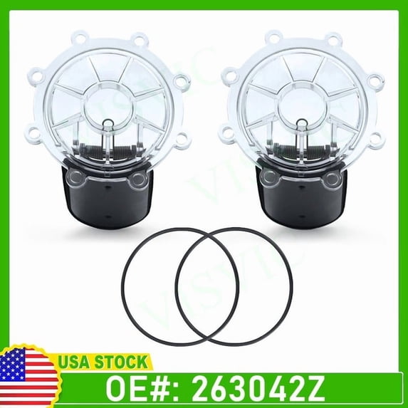 263042 Rebuild Kit Compatible with Pentair 2 Inch CPVC Check Valve ...