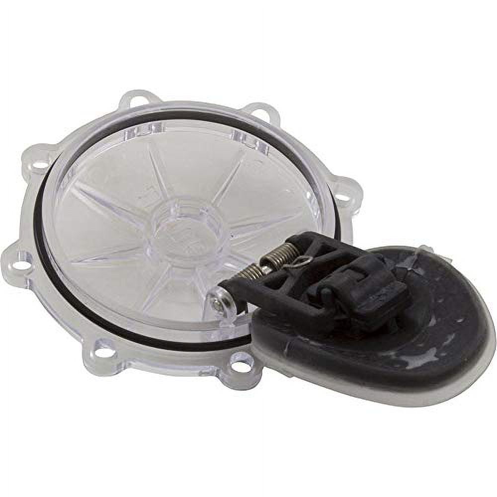 263042Z 2-Inch 2-Way CPVC Check Valve Replacement Kit Diverter Pool and ...