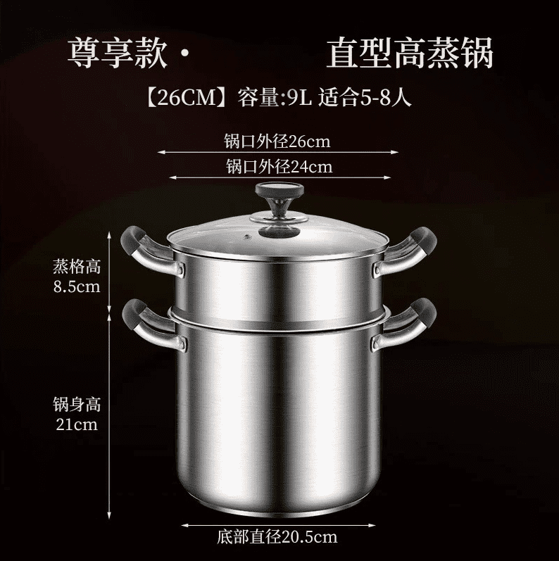 26cm Stainless Steel 2-Tier Steamer Pot (9L) | Induction Compatible ...