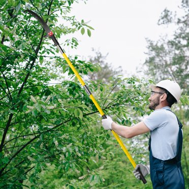BENTISM Telescopic Manual Pole Saw 7.3-27ft with Extendable Limb Cutter ...