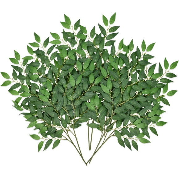 Italian Ruscus Greenery Stems and Sprays for Home and Events