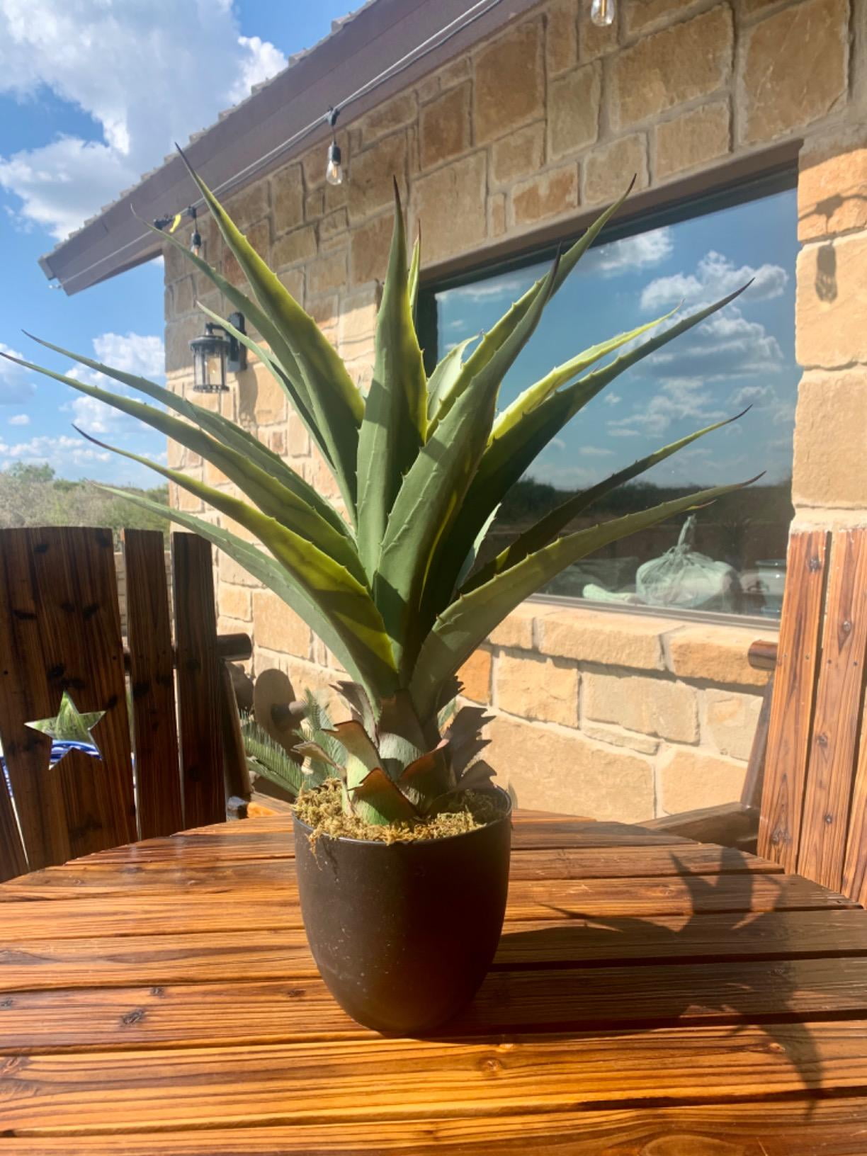 27" H Sansevieria Snake Plant - Artificial Agave – Green Color– with ...