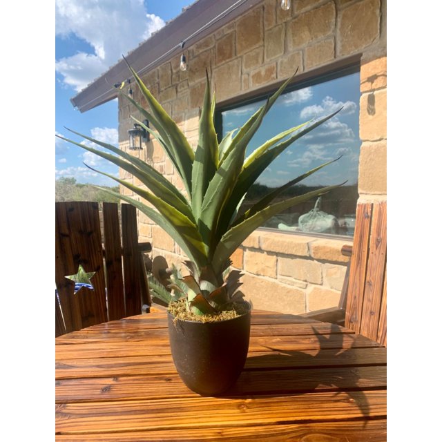 27" H Sansevieria Snake Plant - Artificial Agave – Green Color– with ...