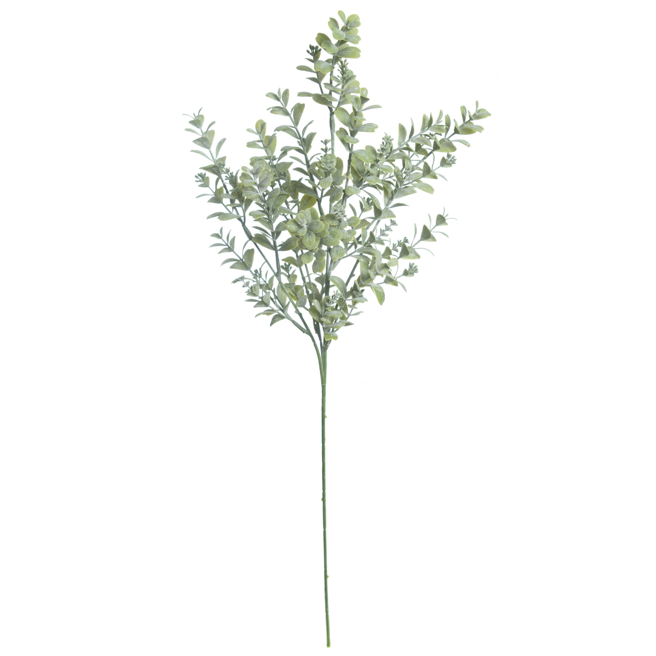 27" Light Green Mini Boxwood Stem by Ashland® - Spring Floral and ...