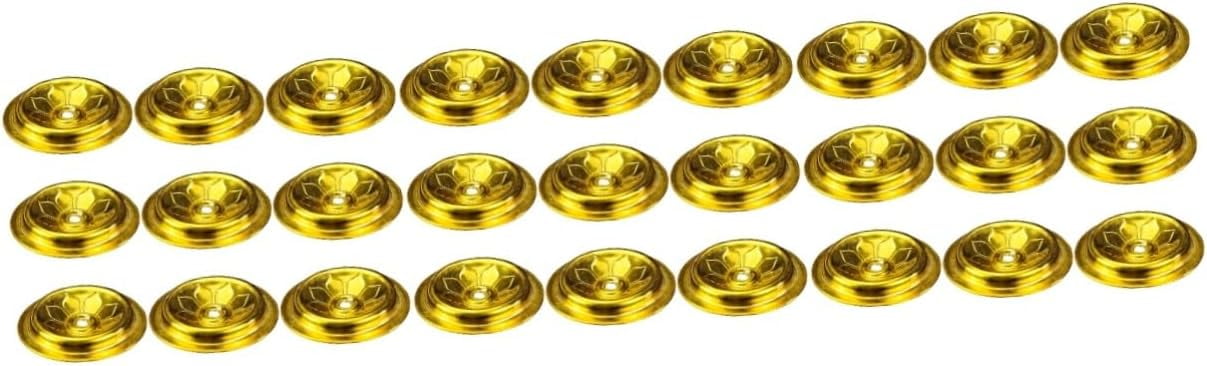 27 Pcs Oil Float Dietz Oil Lantern Goldendoodle Accessories Lotus ...