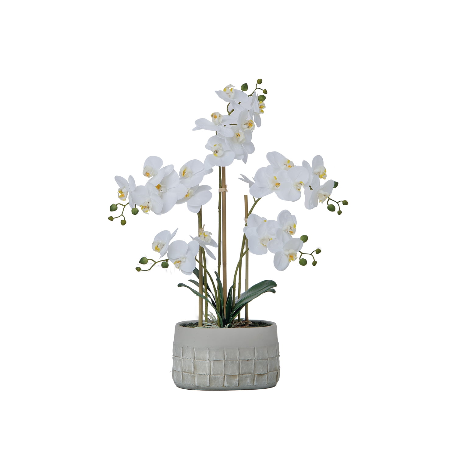 27" White Orchid Arrangement in a Grey Stonelike Planter | Real Touch ...