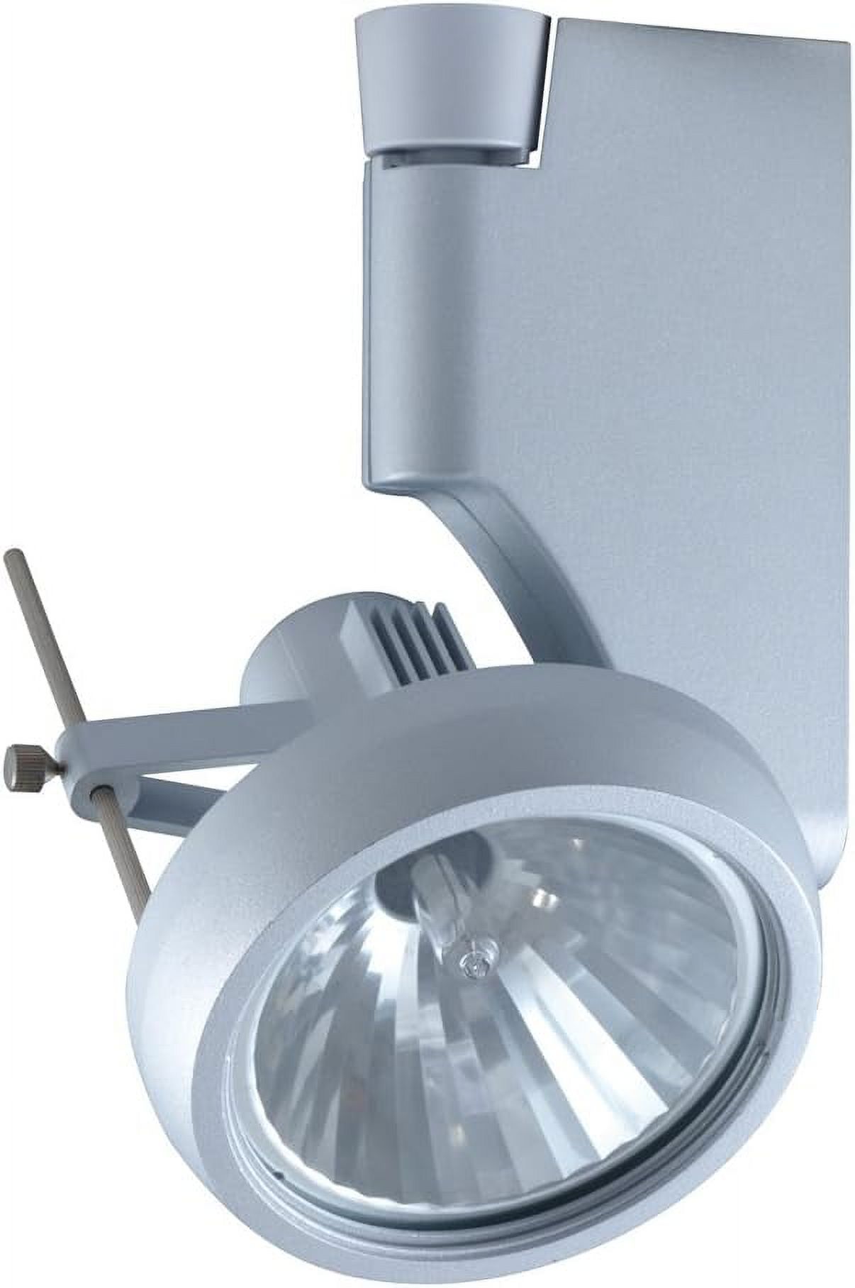 270 Series Metal Halide Track Light Fixture, T4 24-Degree Narrow Flood ...
