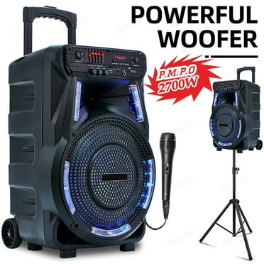 ION Audio Party Rocker Max High-Power Portable Speaker with ...