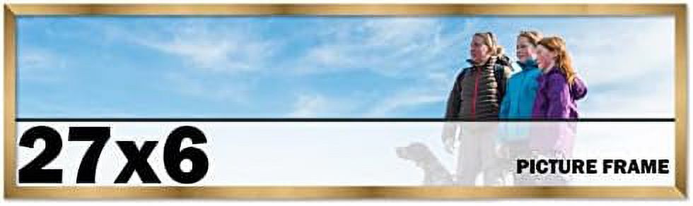27X6 Frame Bronze Picture Frame - Modern Photo Frame Includes UV Guard ...