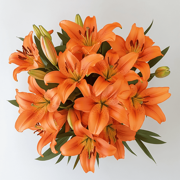 Lilies in All Flowers - Walmart.com
