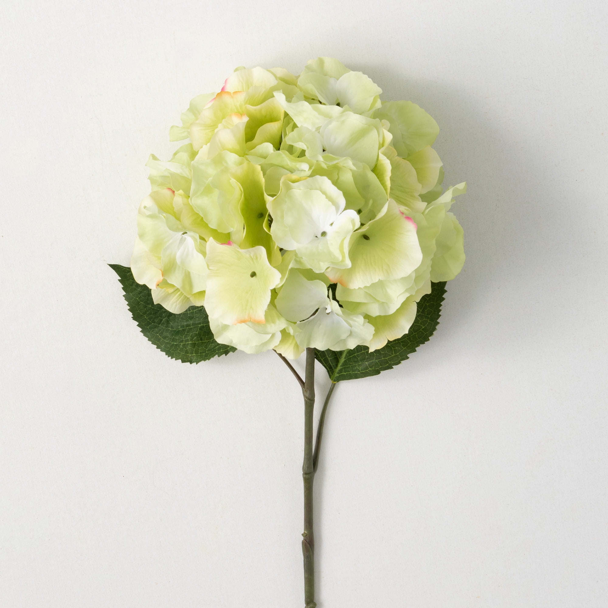 28"H Sullivans Cottage Green Hydrangea Bloom, Green - Walmart.com