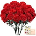28 Large Blooms Artificial Carnations Bulk with 28 Mini Blooms, Red ...