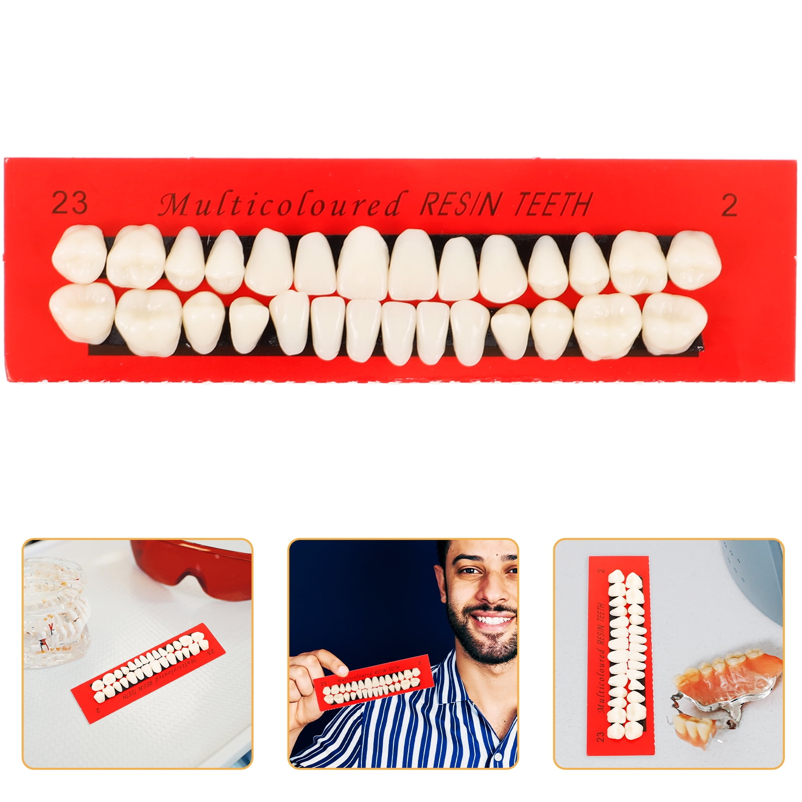 Dental Teaching Material with Realistic Resin Teeth Models in Red Color ...